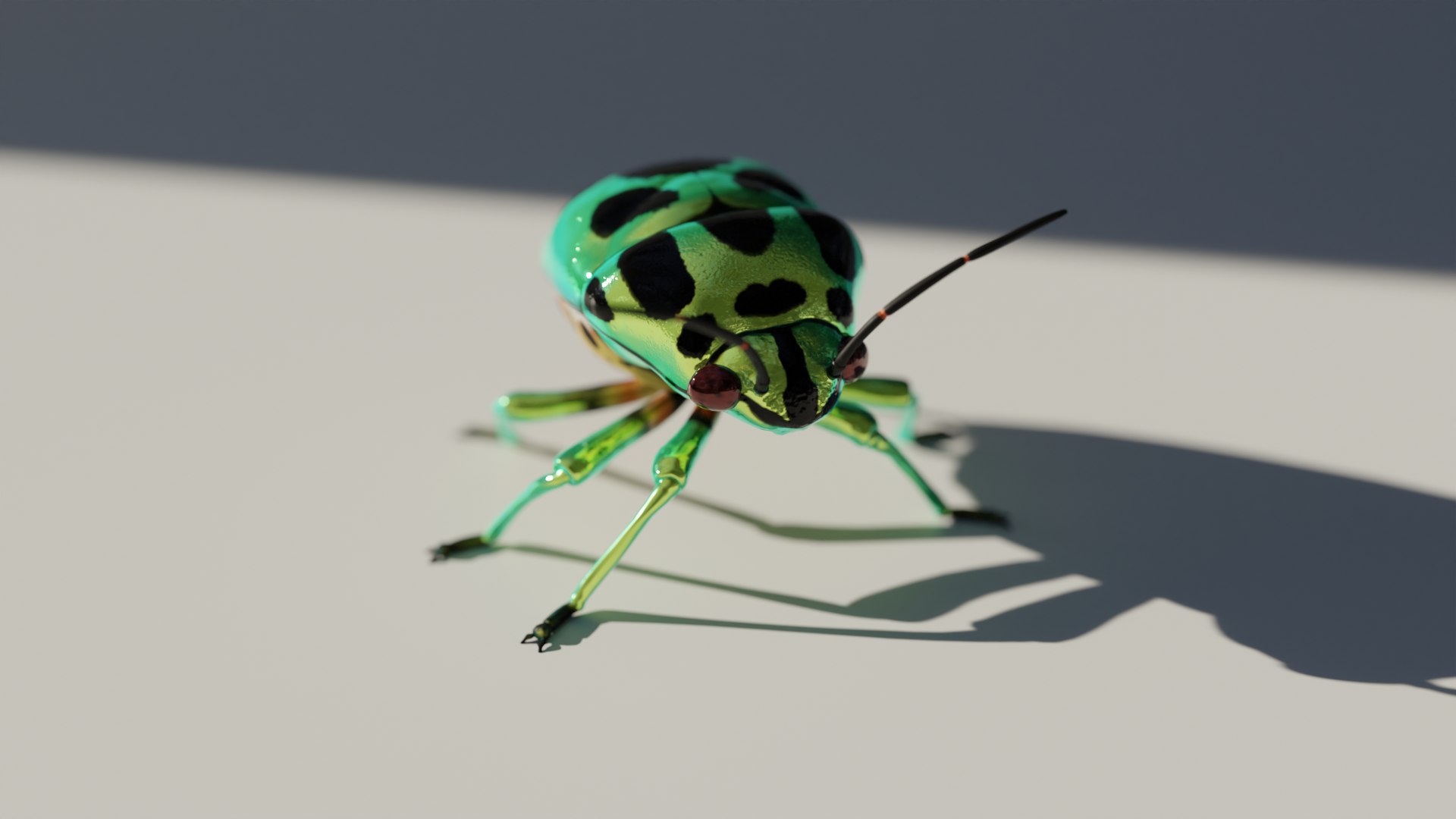 3D Jewel Bug - Chrysocoris Stollii - TurboSquid 2161454