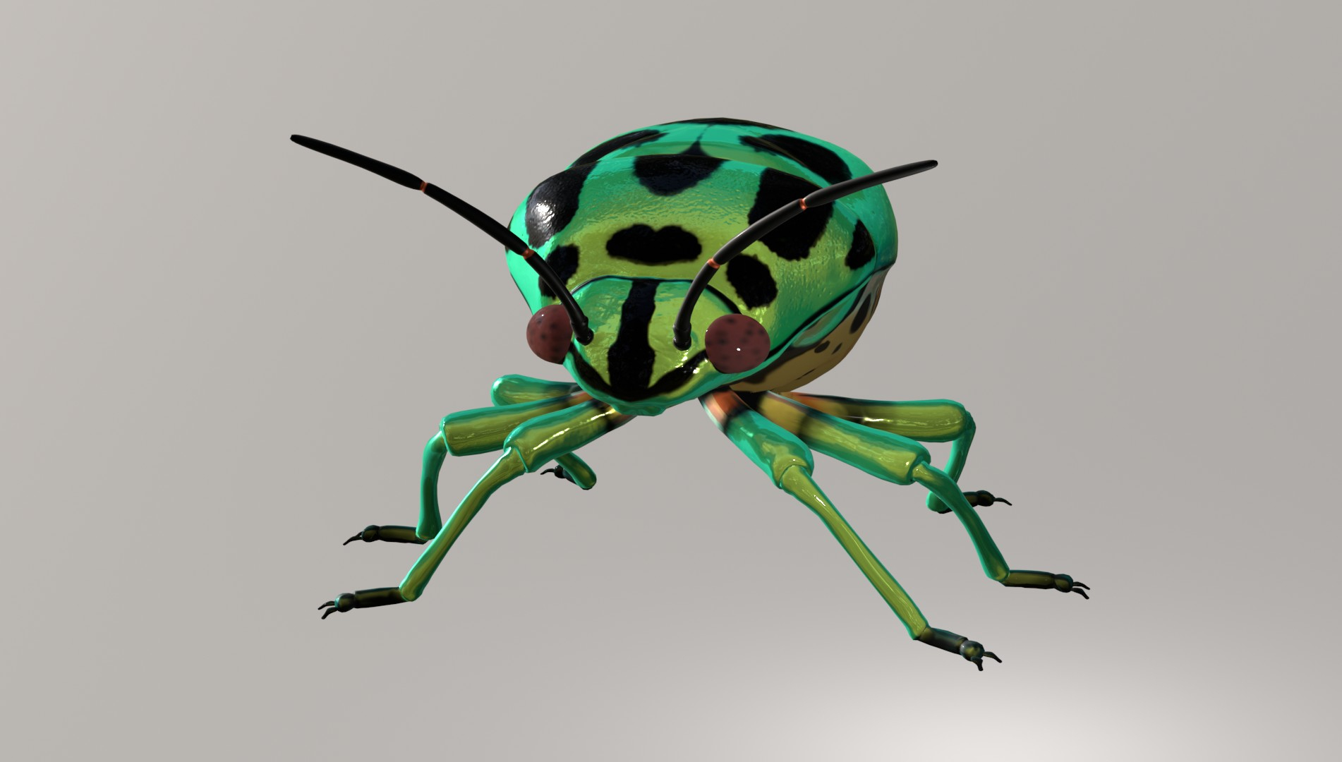 3D Jewel Bug - Chrysocoris Stollii - TurboSquid 2161454