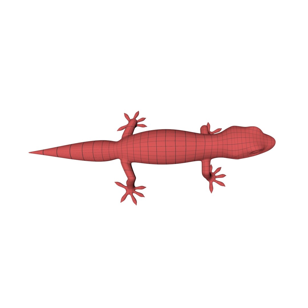 Base Mesh Gecko C4d