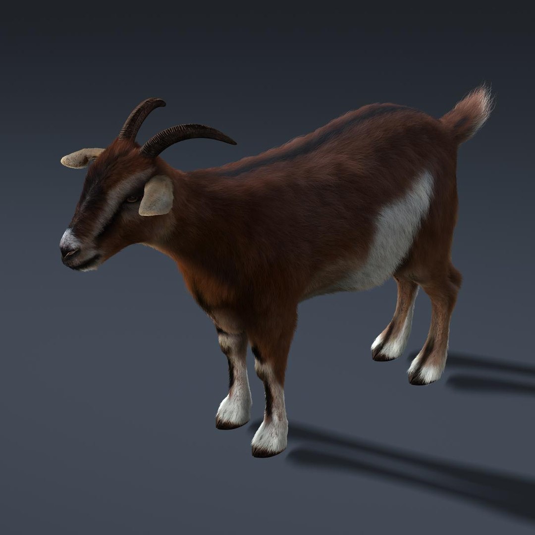 Maya Goat Fur Hair
