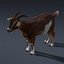 Maya Goat Fur Hair