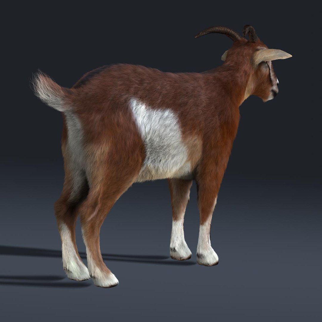 Maya Goat Fur Hair