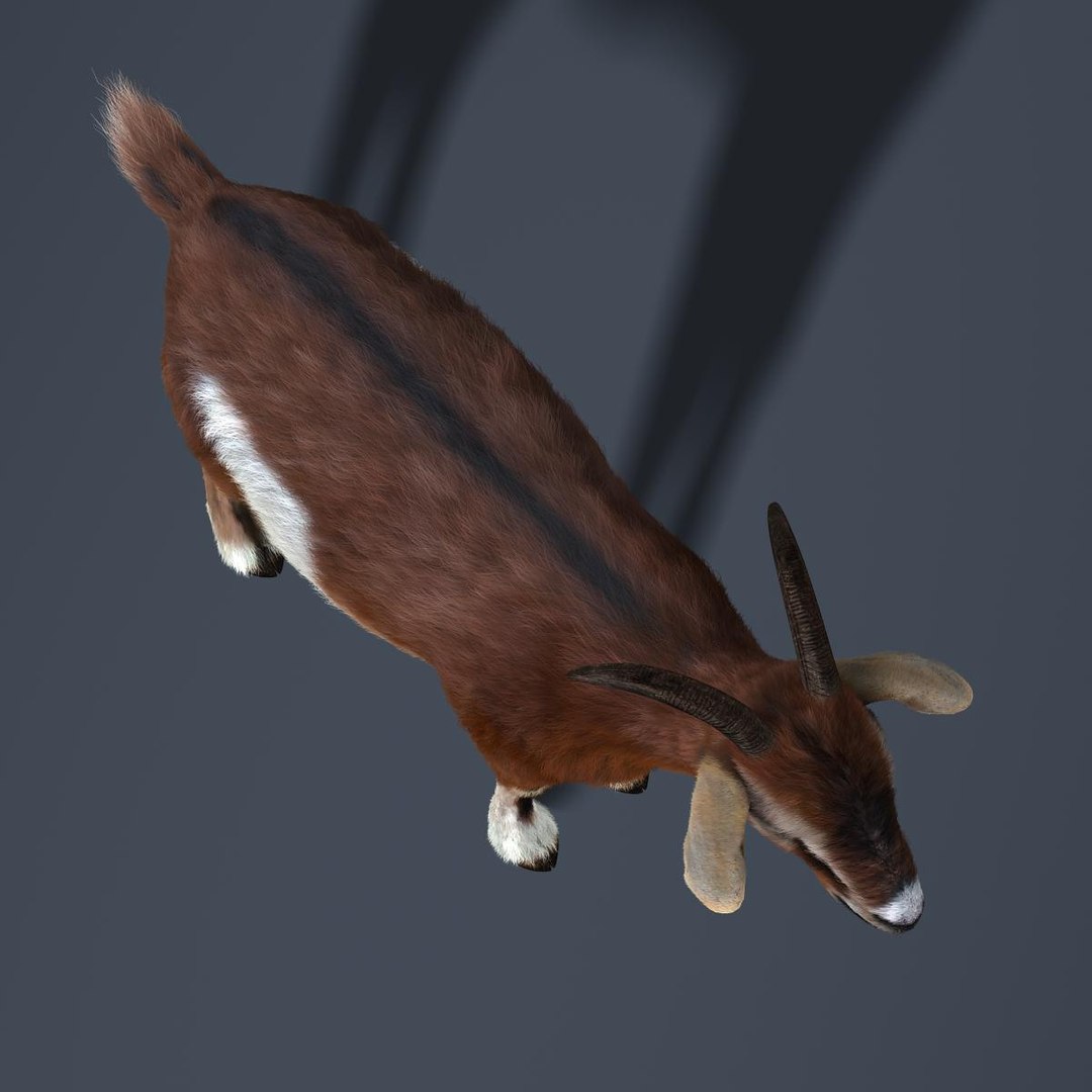 Maya Goat Fur Hair