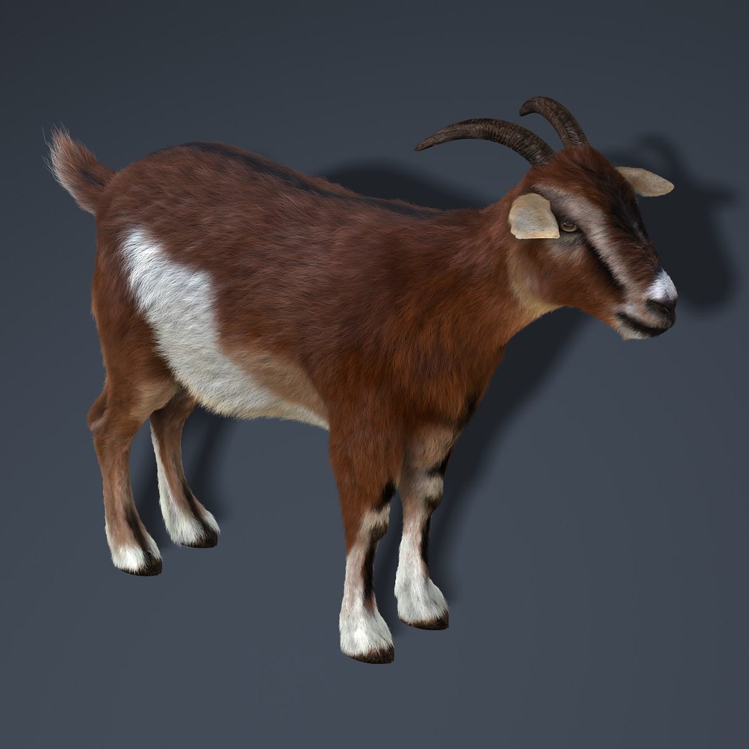 Maya Goat Fur Hair