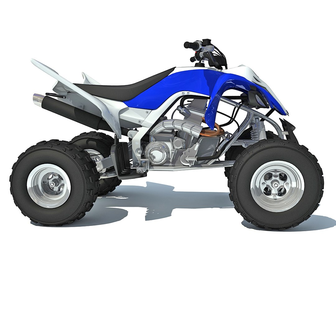 Raptor Quad Bike