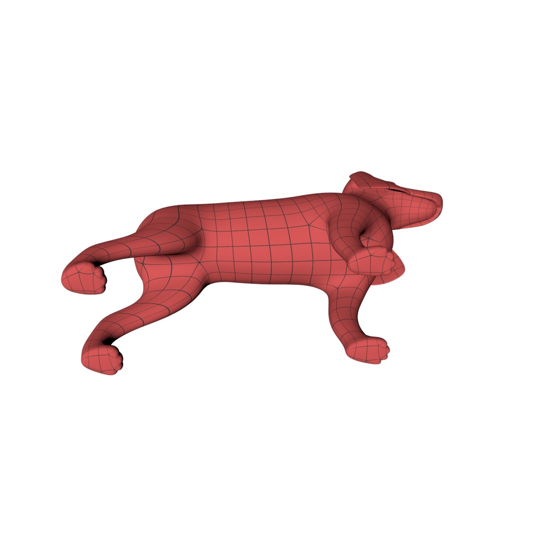 base mesh cocker spaniel x