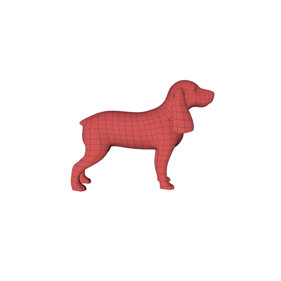 base mesh cocker spaniel x