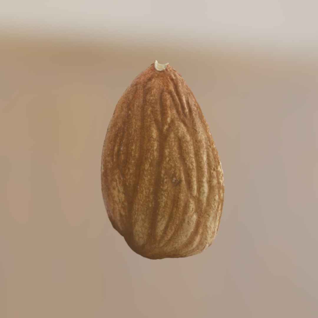 Almond photoreal 3D model - TurboSquid 1150774