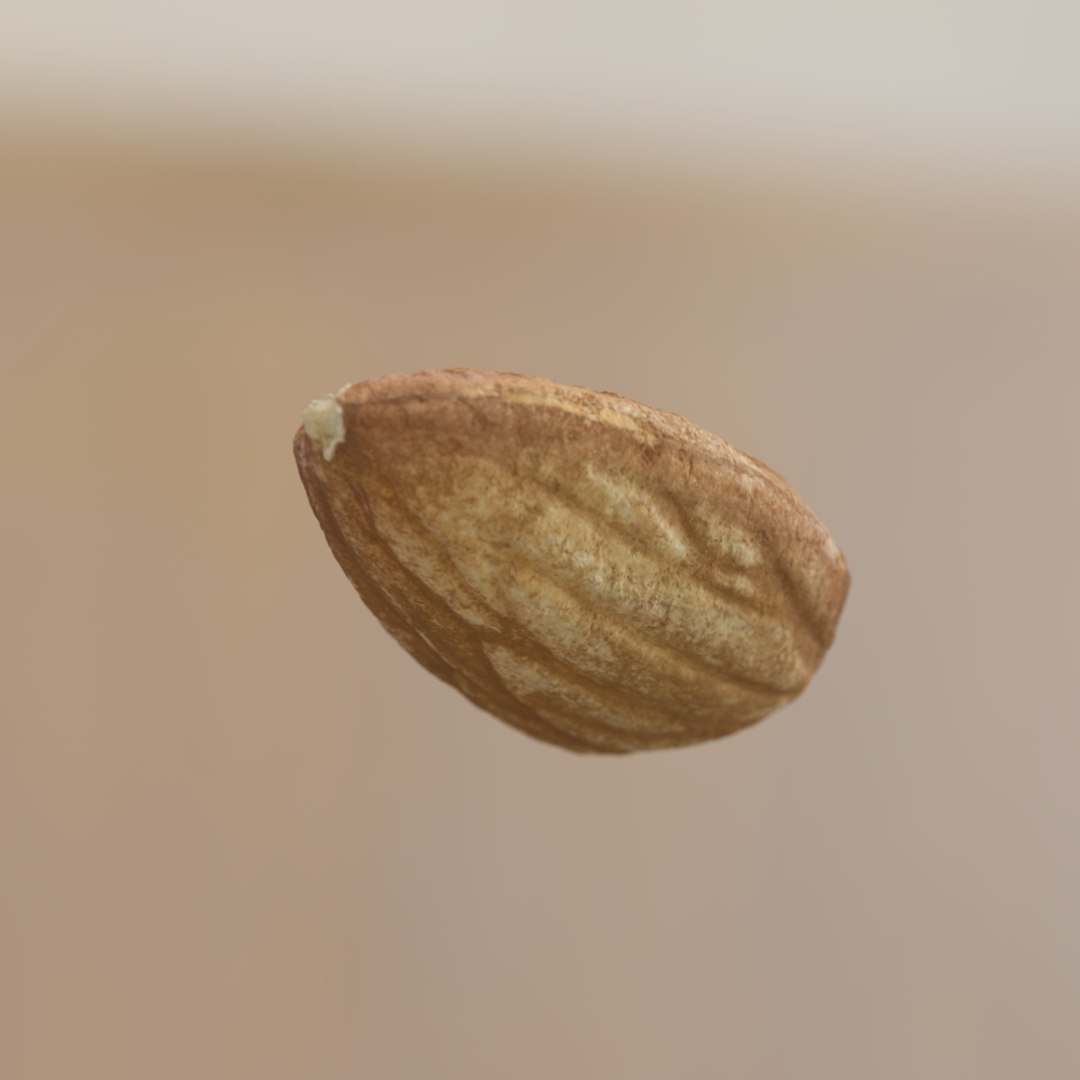 Almond photoreal 3D model - TurboSquid 1150774
