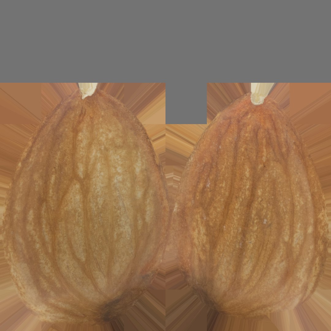 Almond photoreal 3D model - TurboSquid 1150774