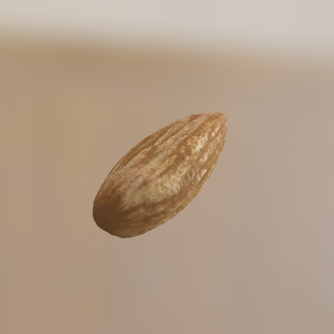 Almond photoreal 3D model - TurboSquid 1150774