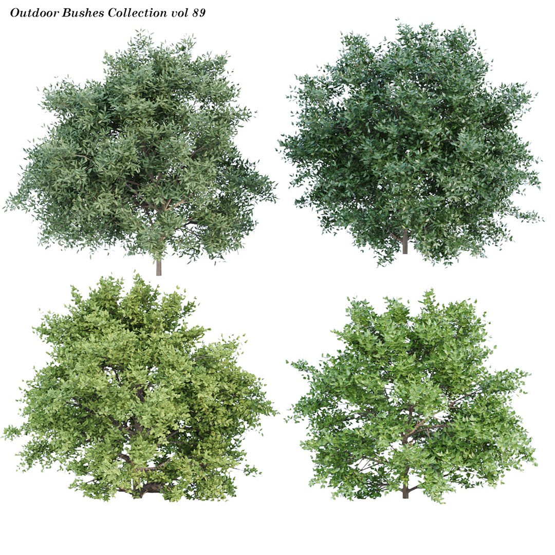 Outdoor Bushes Collection Vol 89 3D Model - TurboSquid 1963680
