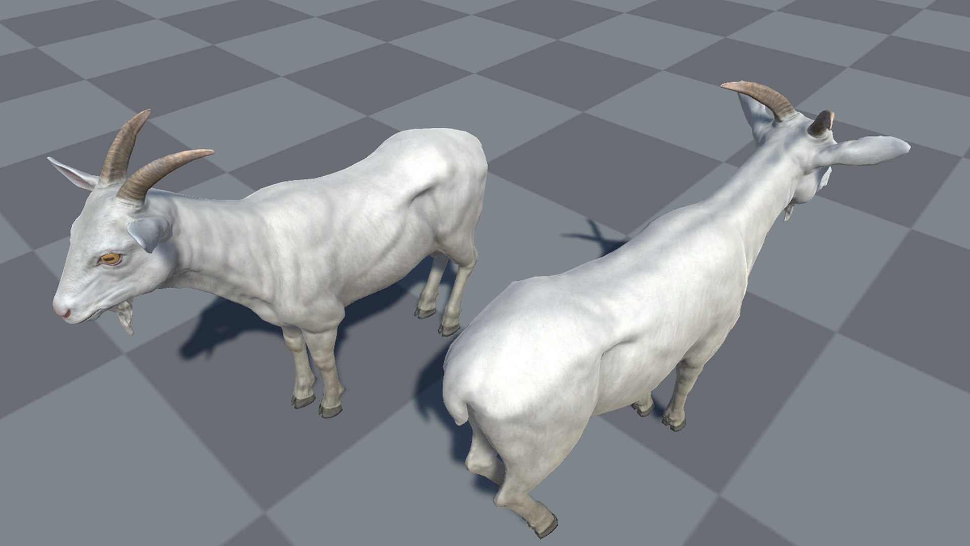 3D Model Goat Male Animations - TurboSquid 1480536