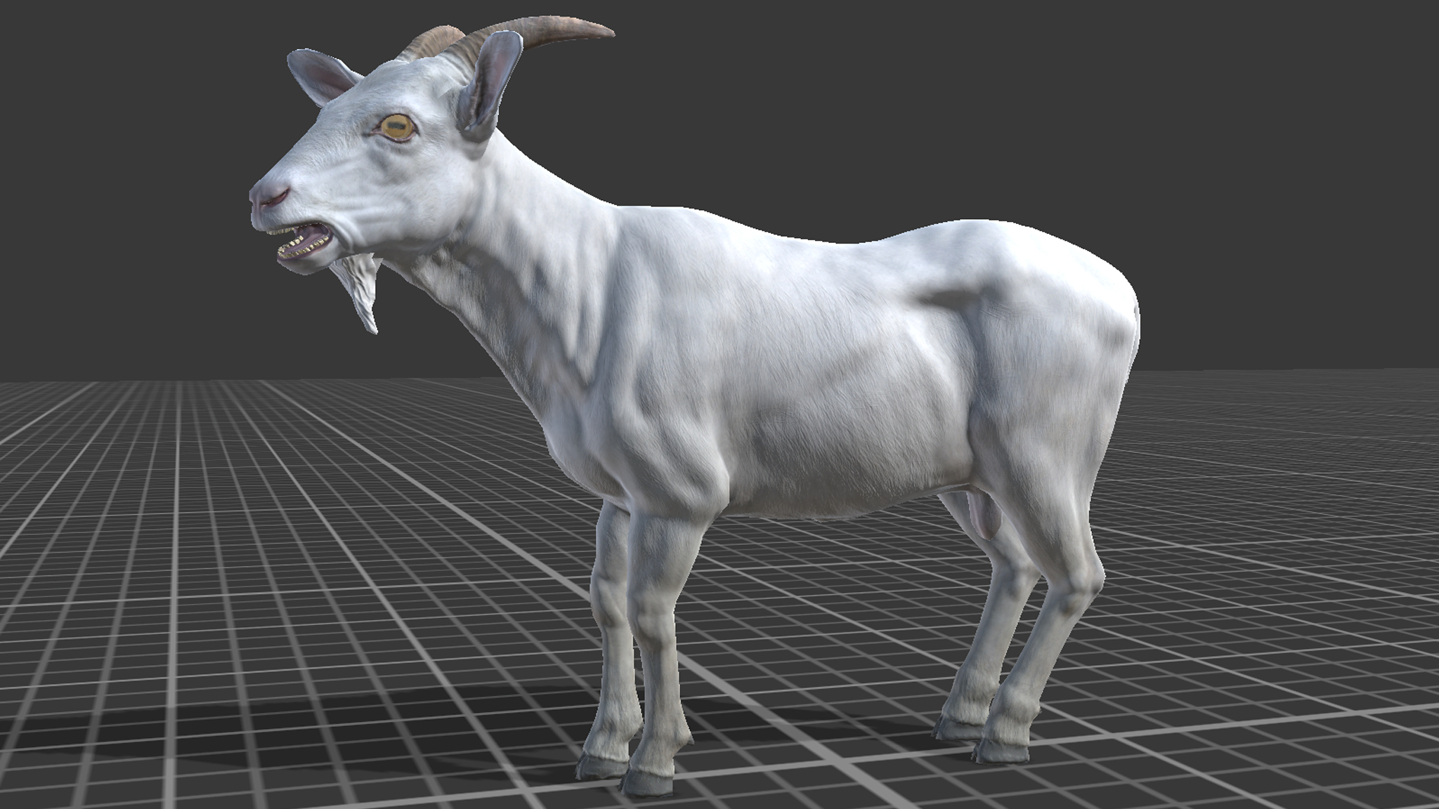 3D model goat male animations - TurboSquid 1480536