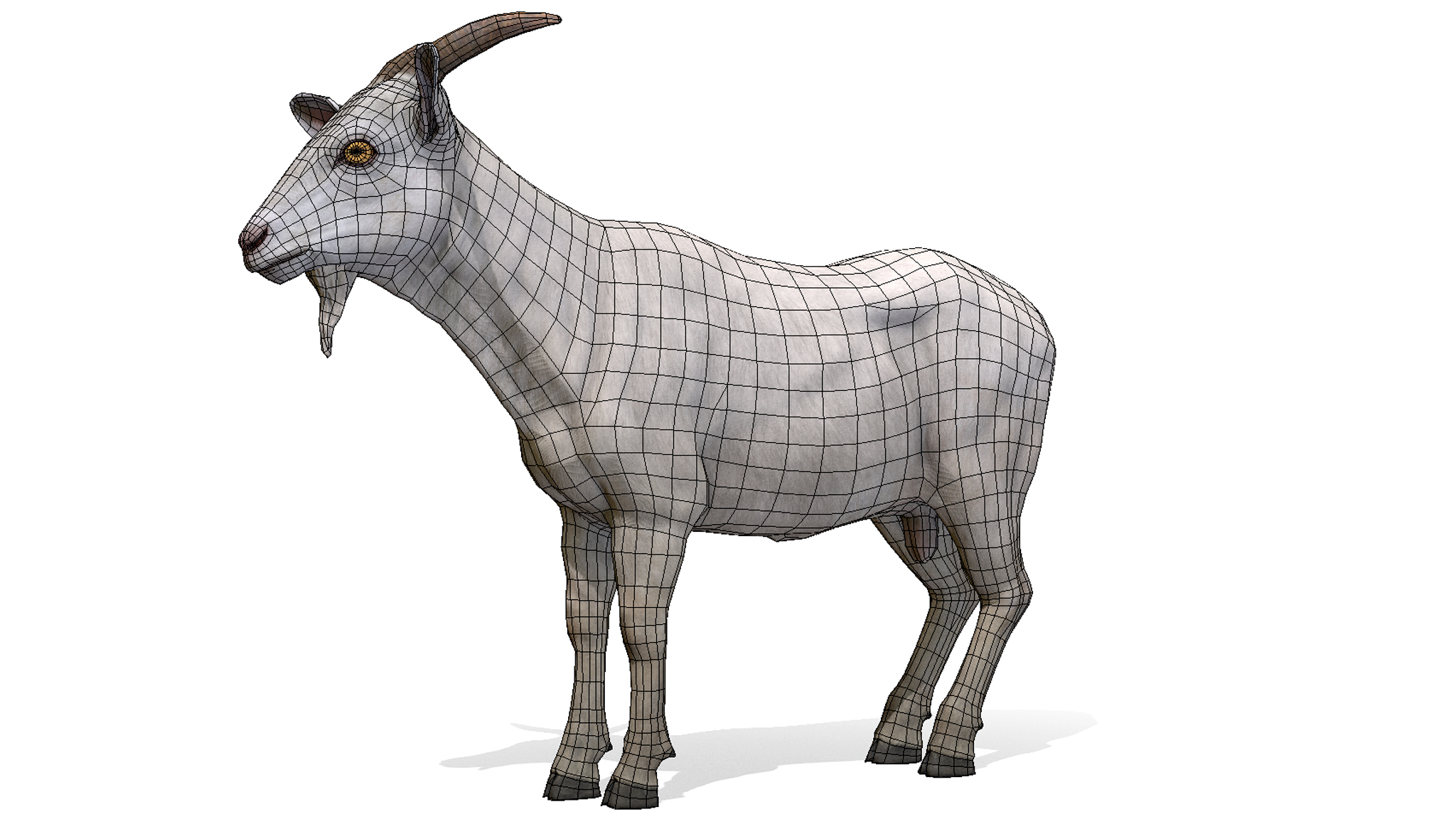 3D model goat male animations - TurboSquid 1480536