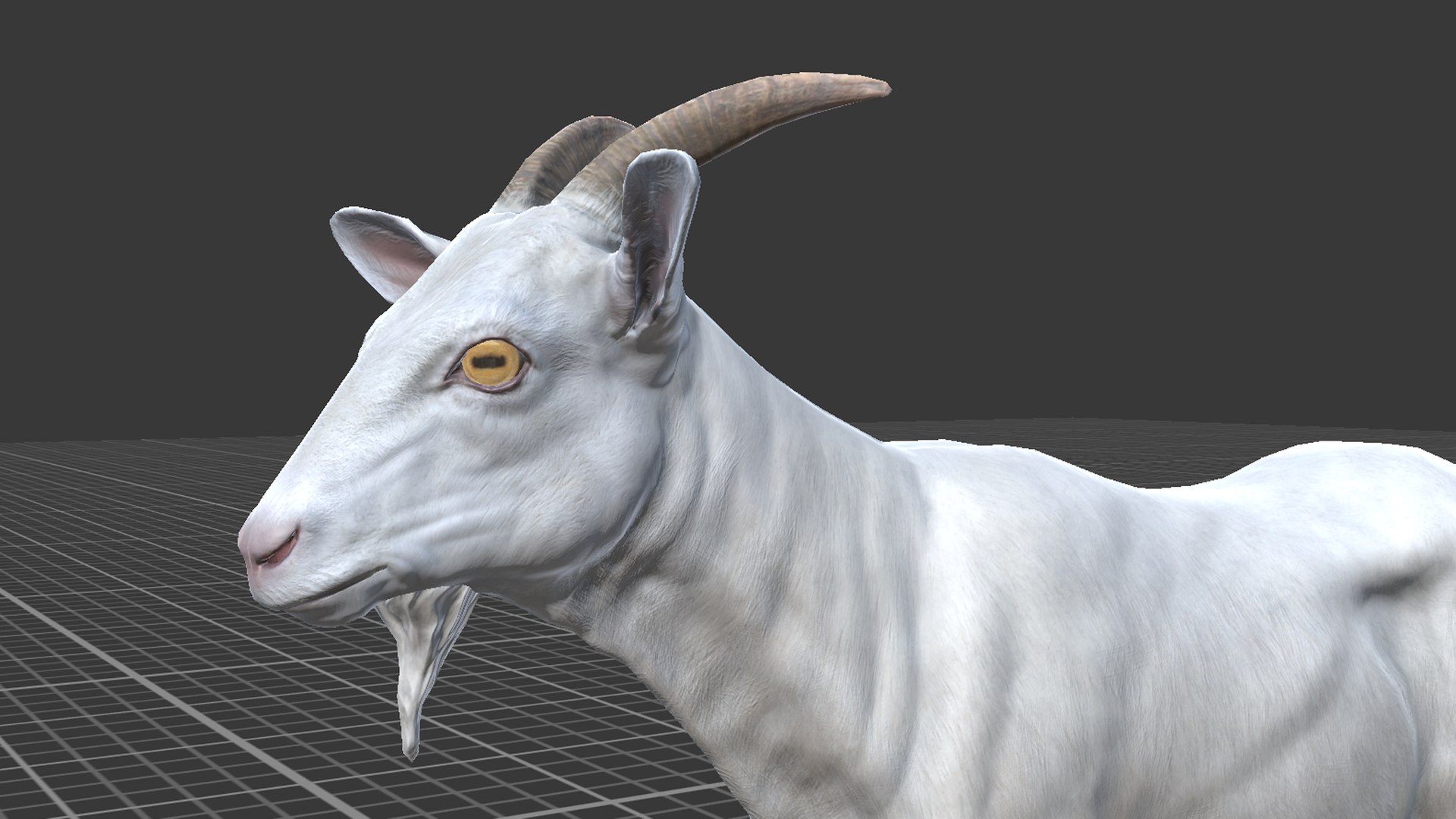 3D Model Goat Male Animations - TurboSquid 1480536