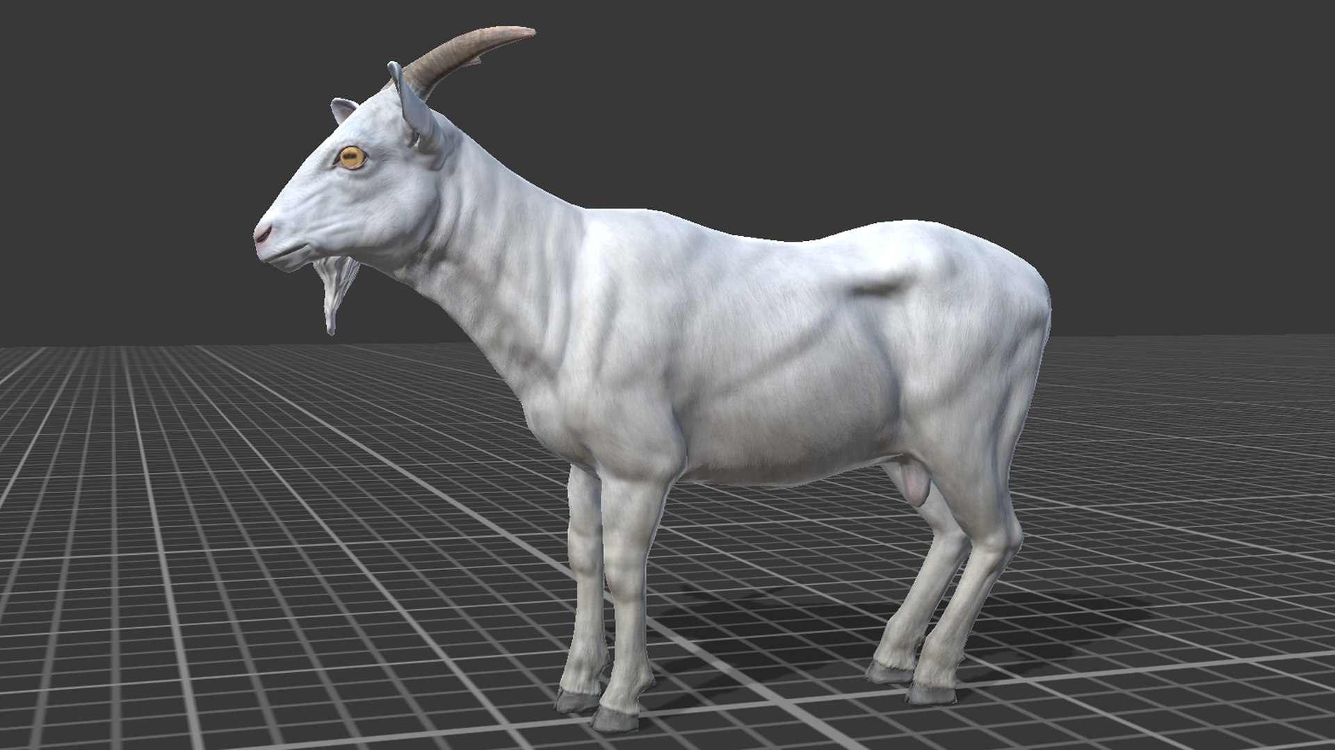 3D Model Goat Male Animations - TurboSquid 1480536