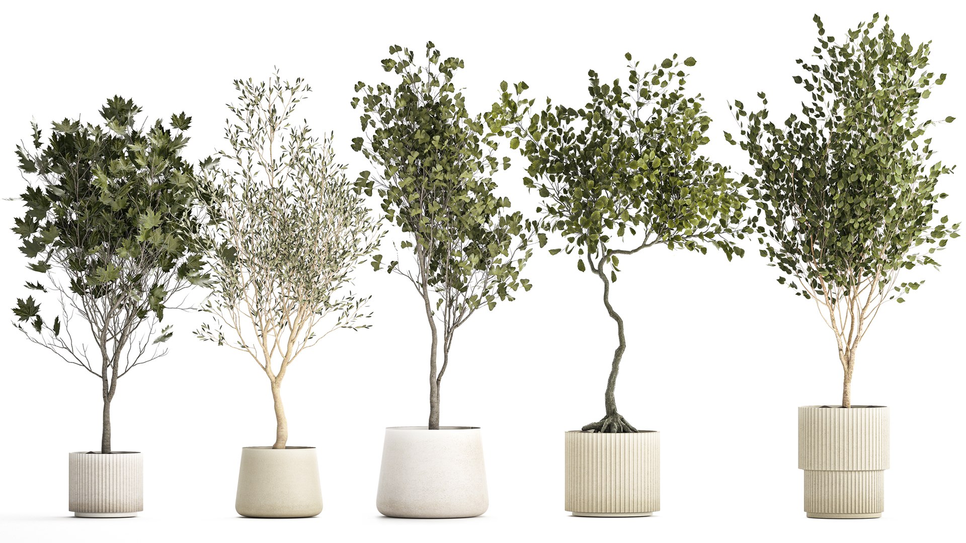 Set Of Beautiful Trees In Pots For Decoration 1331 Model - TurboSquid ...