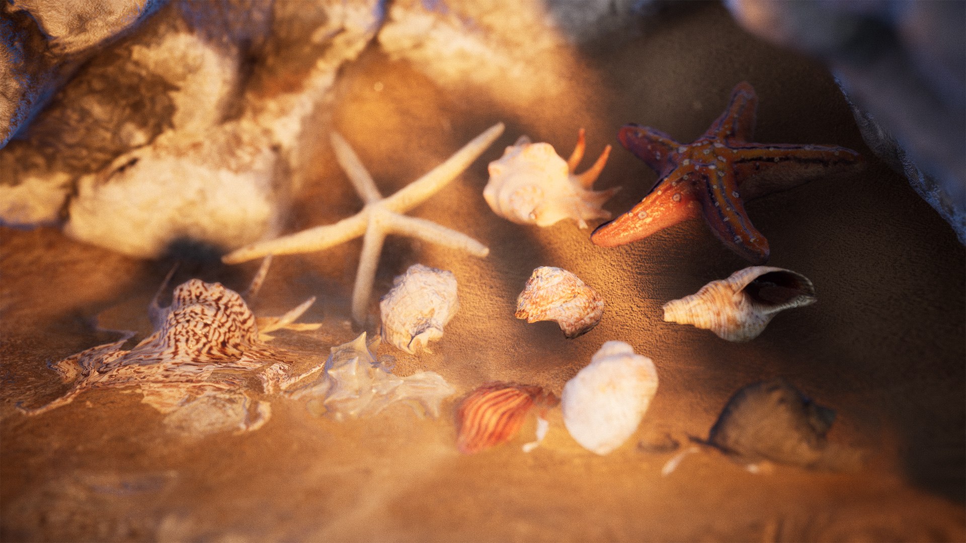 3D Model Sea Shells 24 Assets - TurboSquid 2106234