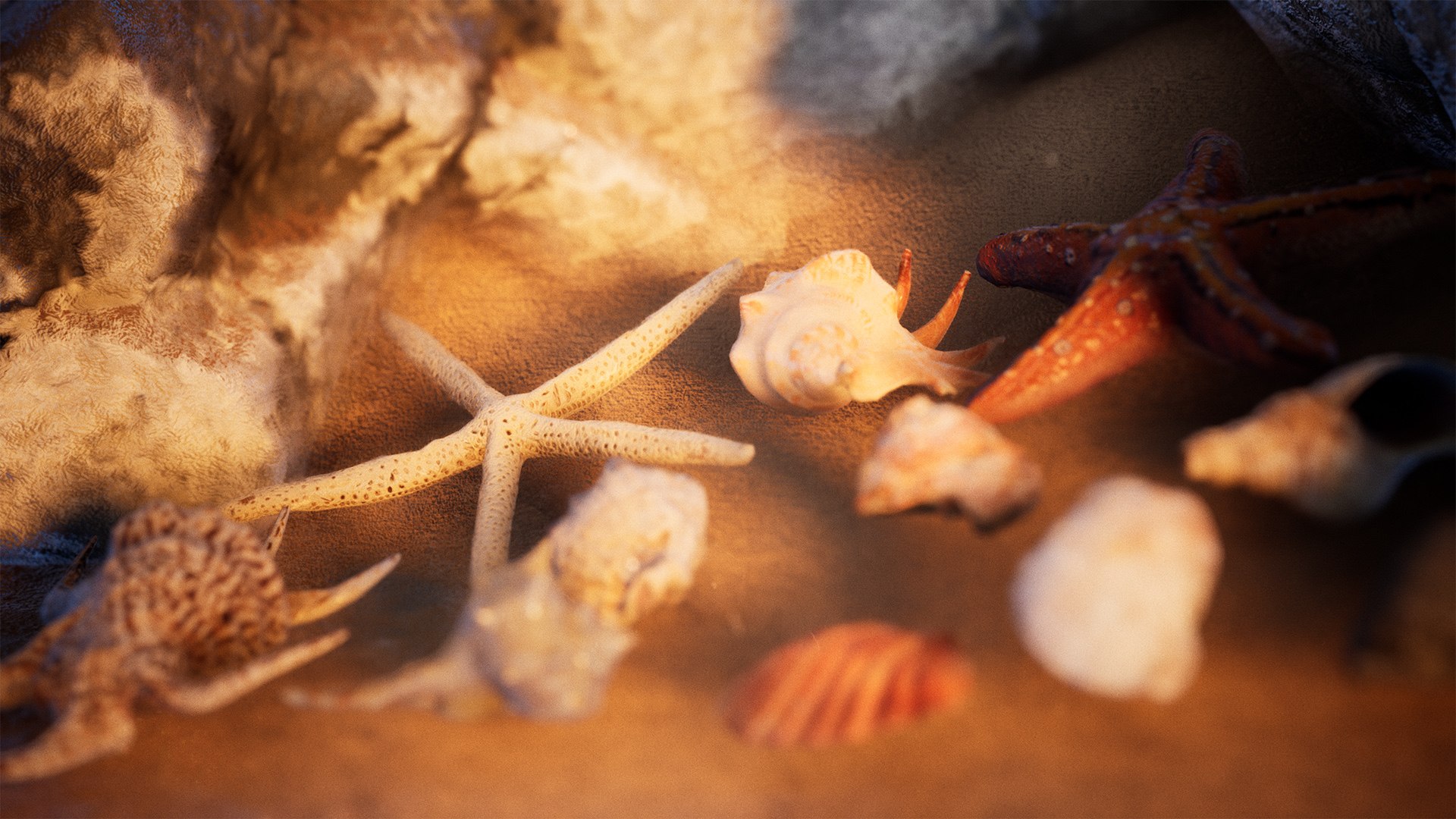 3D Model Sea Shells 24 Assets - TurboSquid 2106234