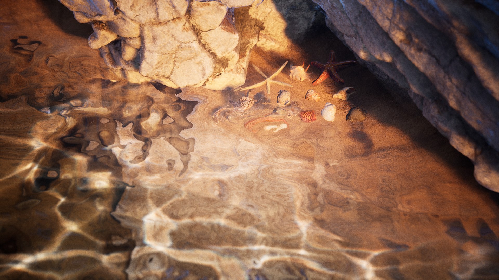 3D Model Sea Shells 24 Assets - TurboSquid 2106234