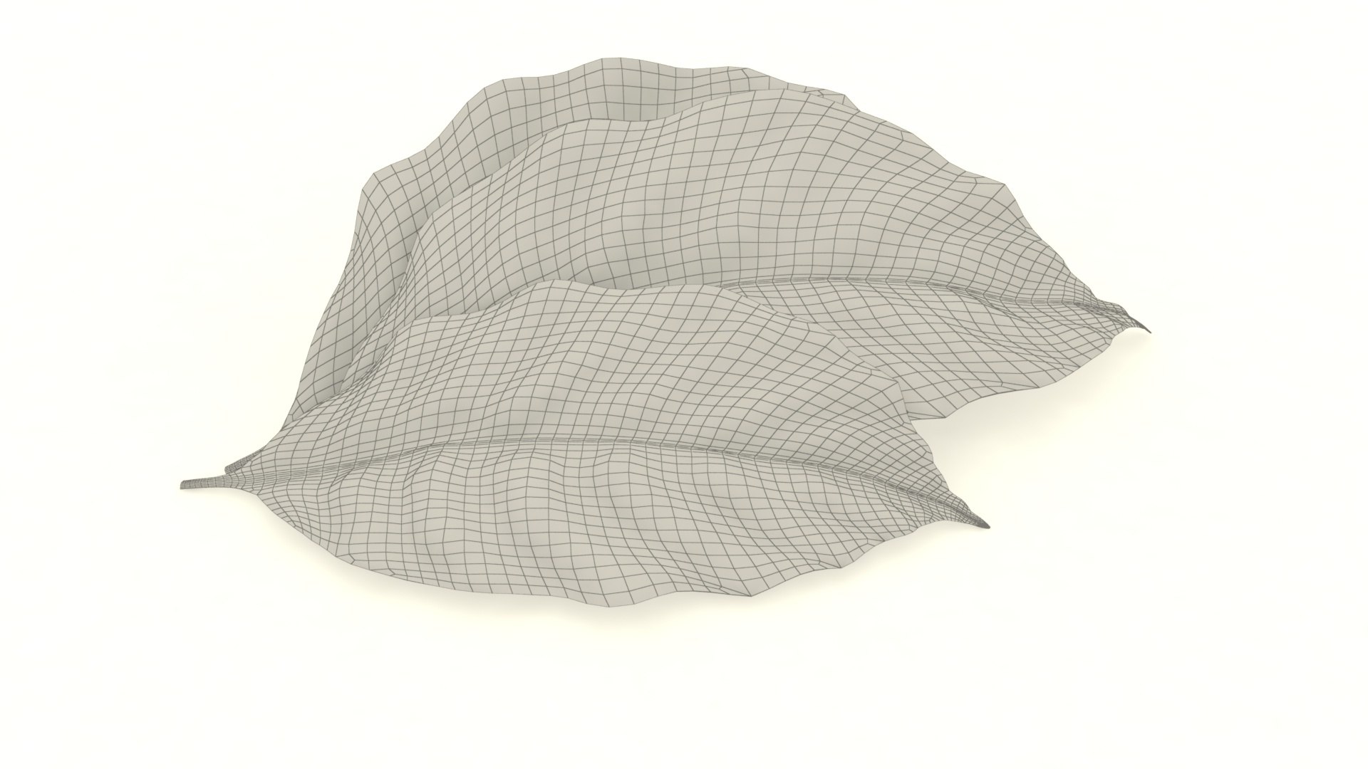 Coffee Tree 3D Model - TurboSquid 1681315