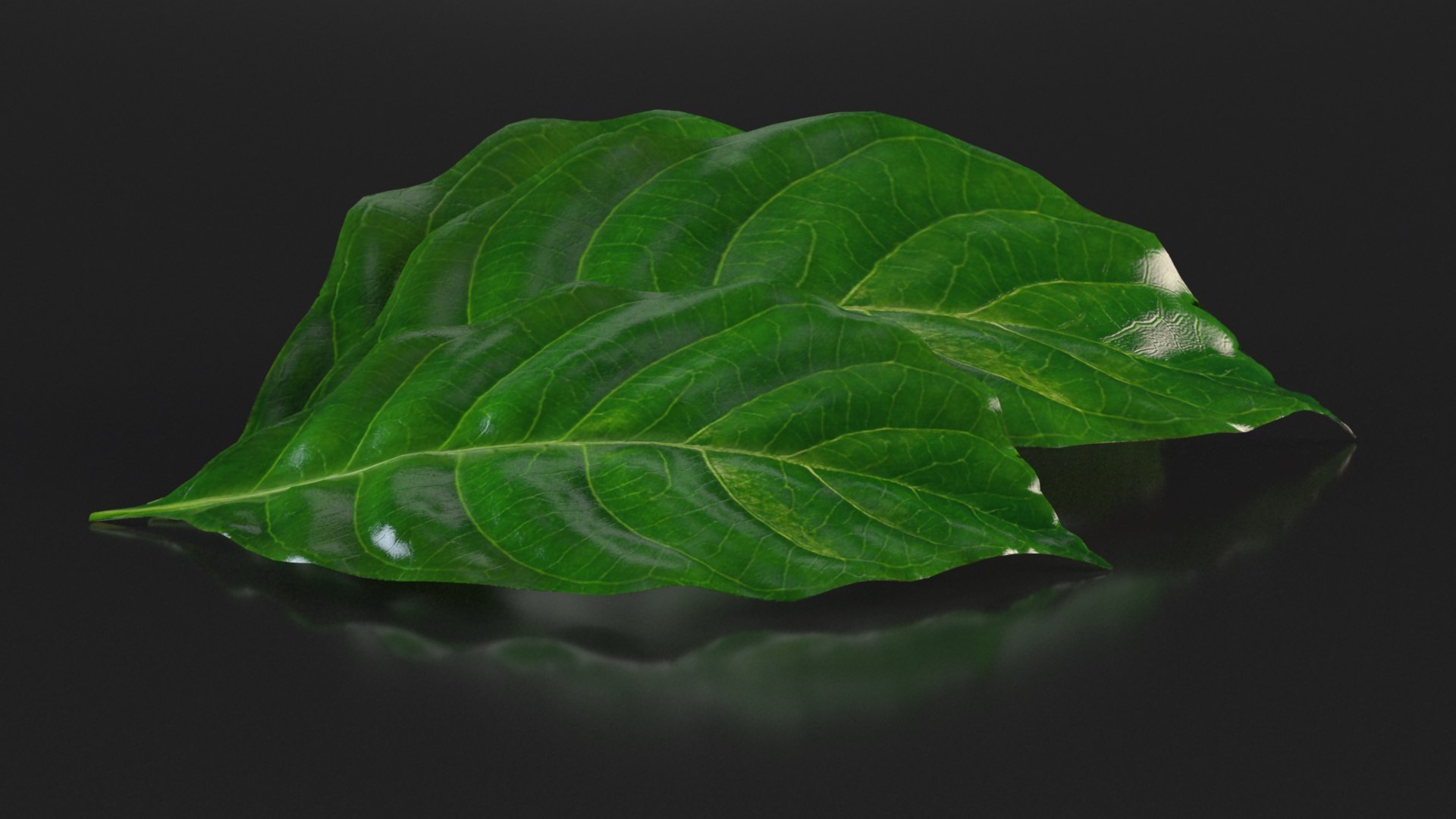 Coffee Tree 3D Model - TurboSquid 1681315