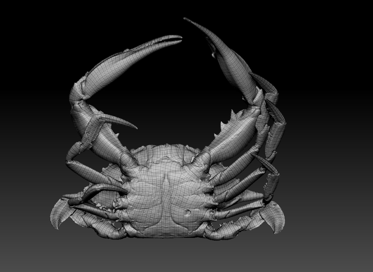 3D Model Steamed Blue Crab - TurboSquid 2144175