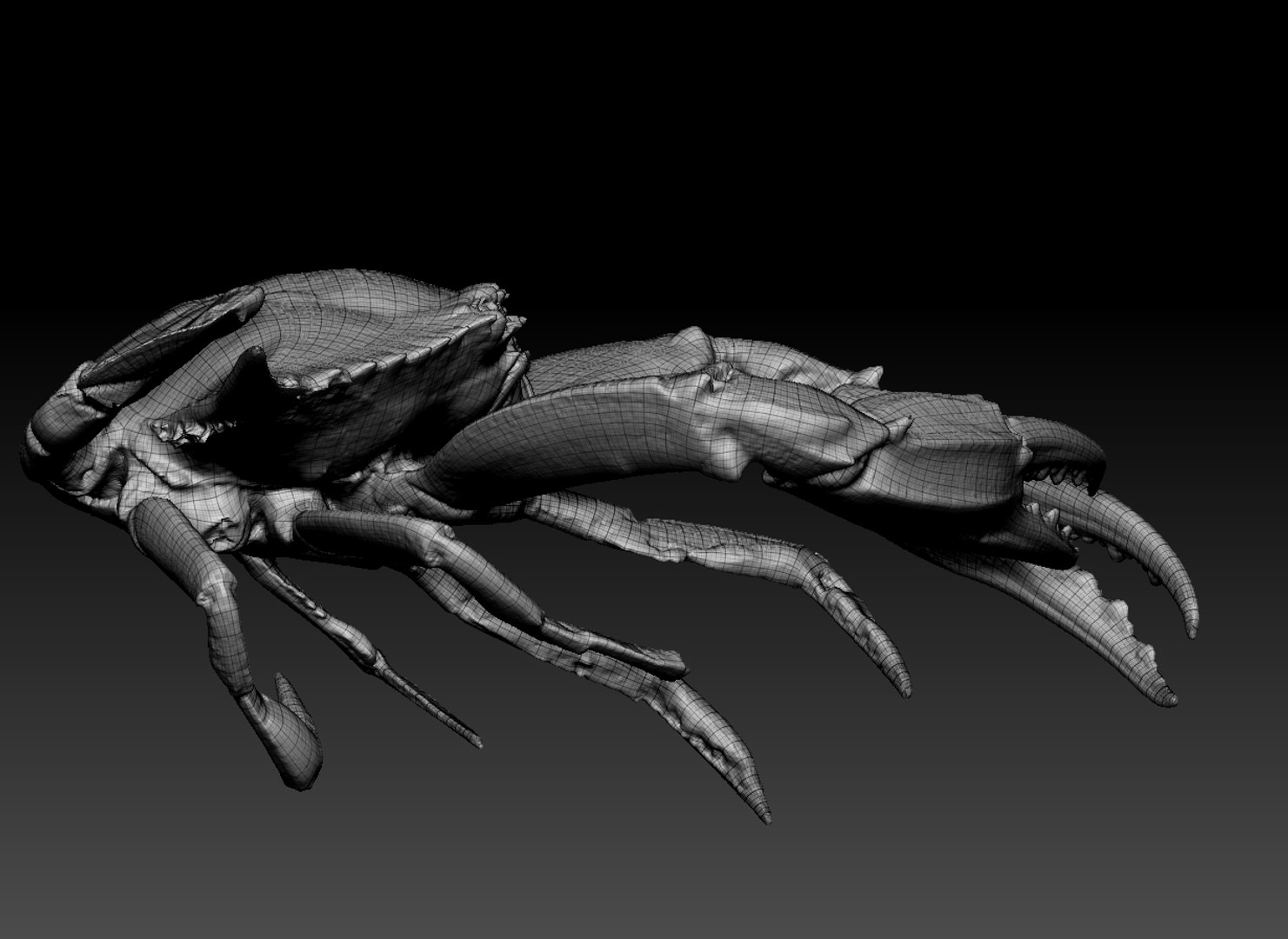 3D Model Steamed Blue Crab - TurboSquid 2144175