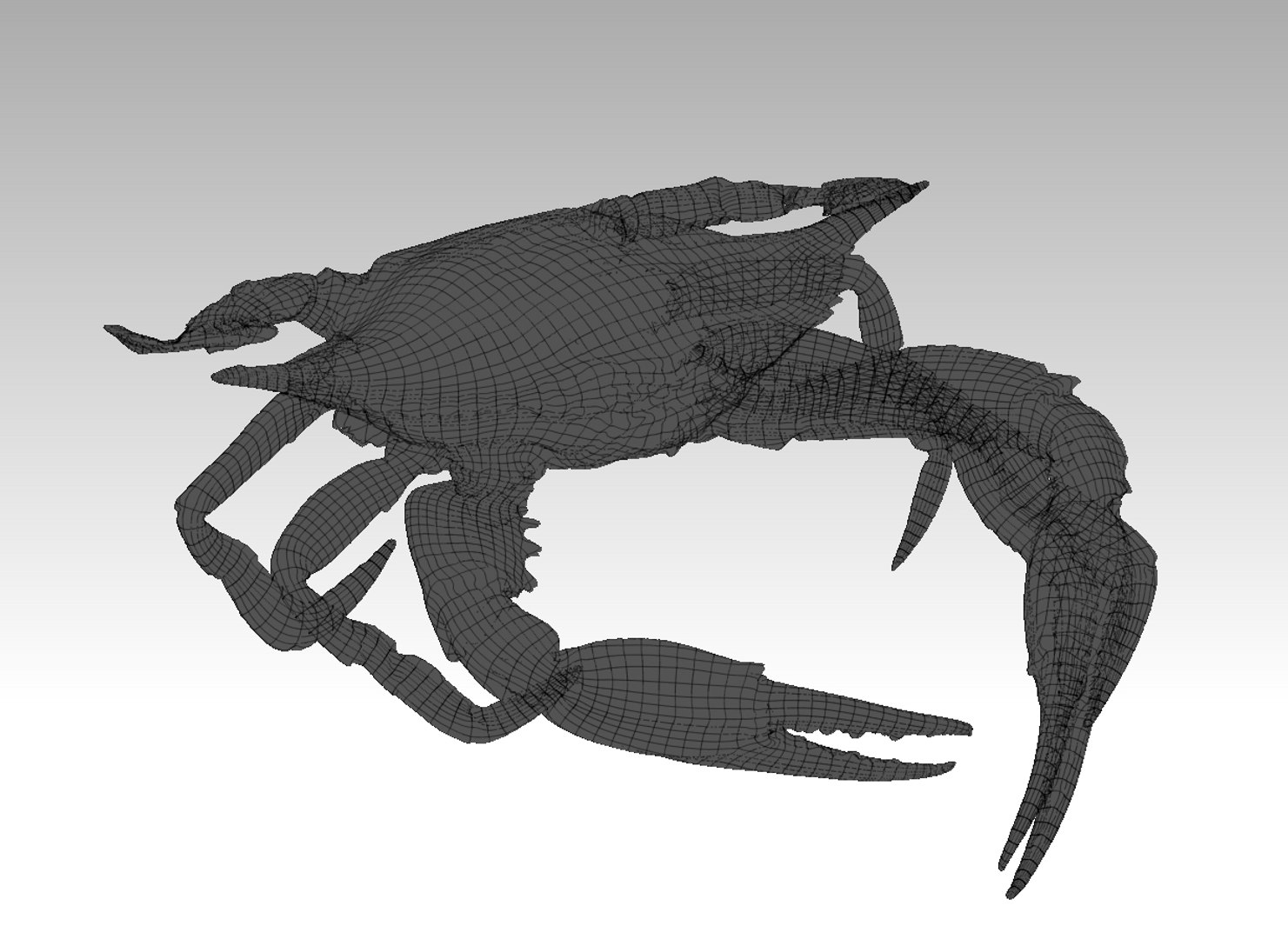 3D Model Steamed Blue Crab - TurboSquid 2144175
