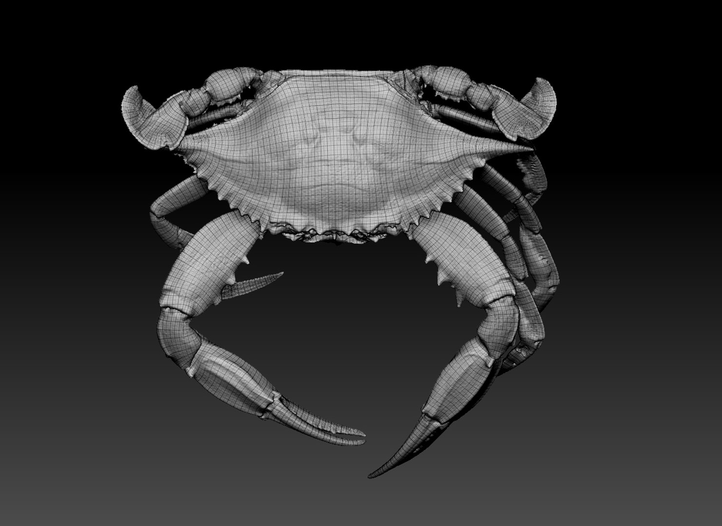 3D Model Steamed Blue Crab - TurboSquid 2144175
