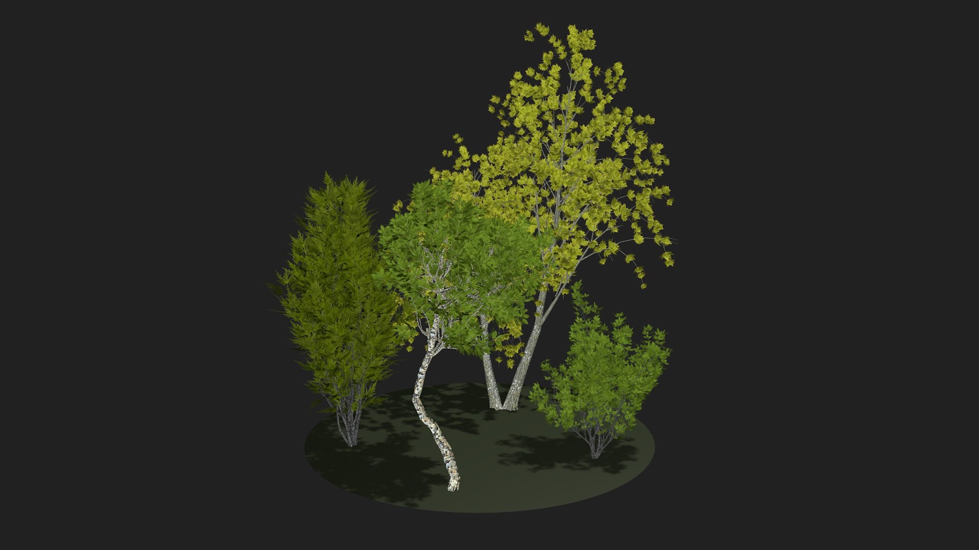 Four Trees Deciduous Bushes 3D - TurboSquid 2182916