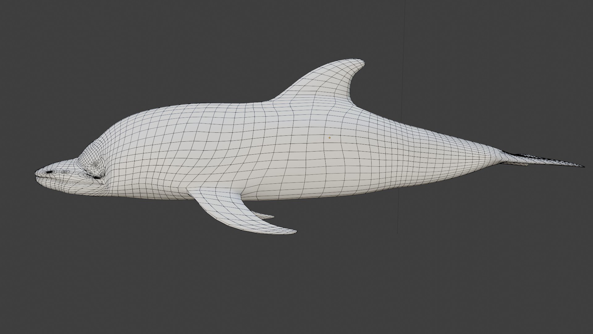 3D Rigged Dolphin - TurboSquid 1685516