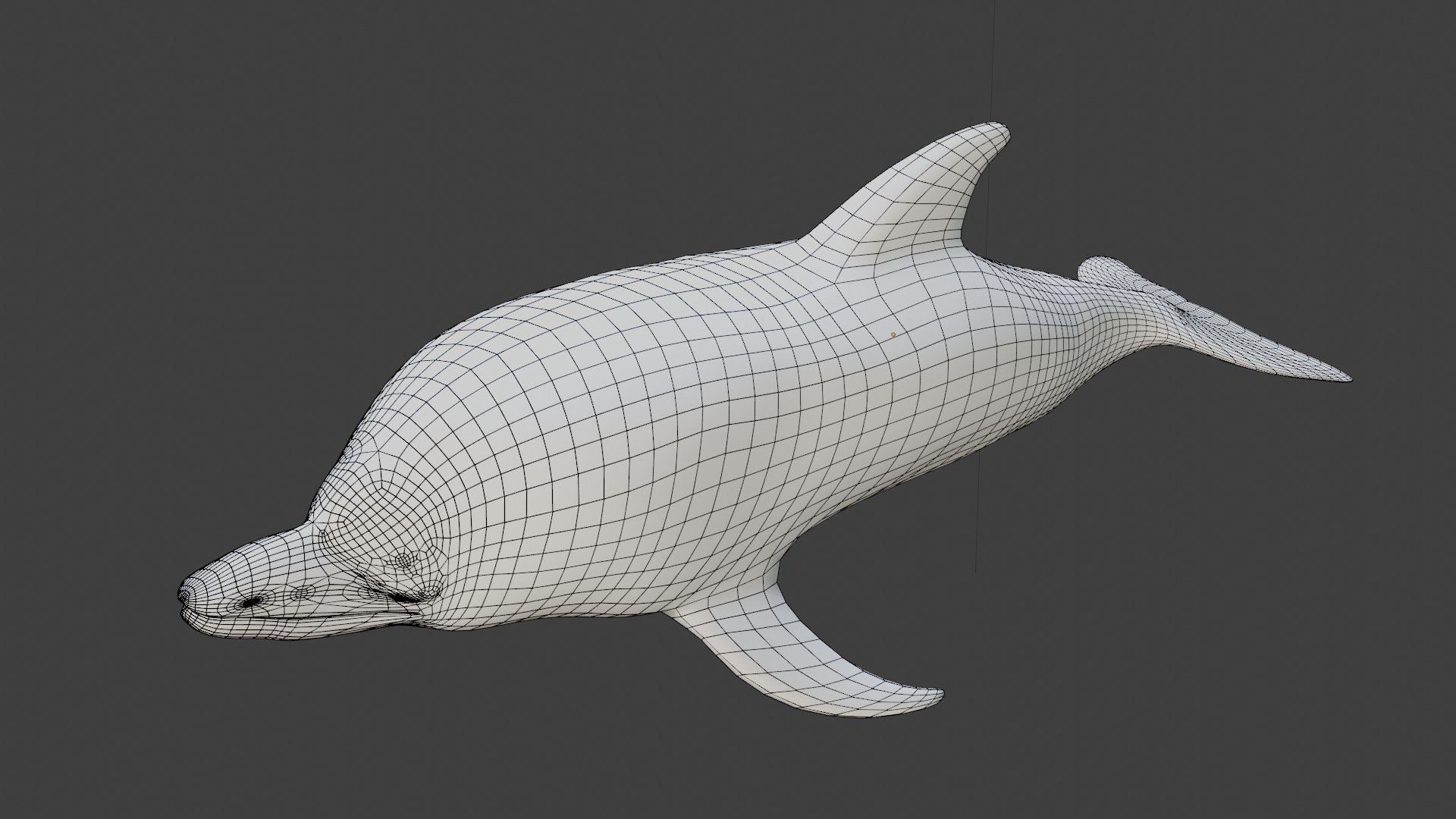 3D Rigged Dolphin - TurboSquid 1685516
