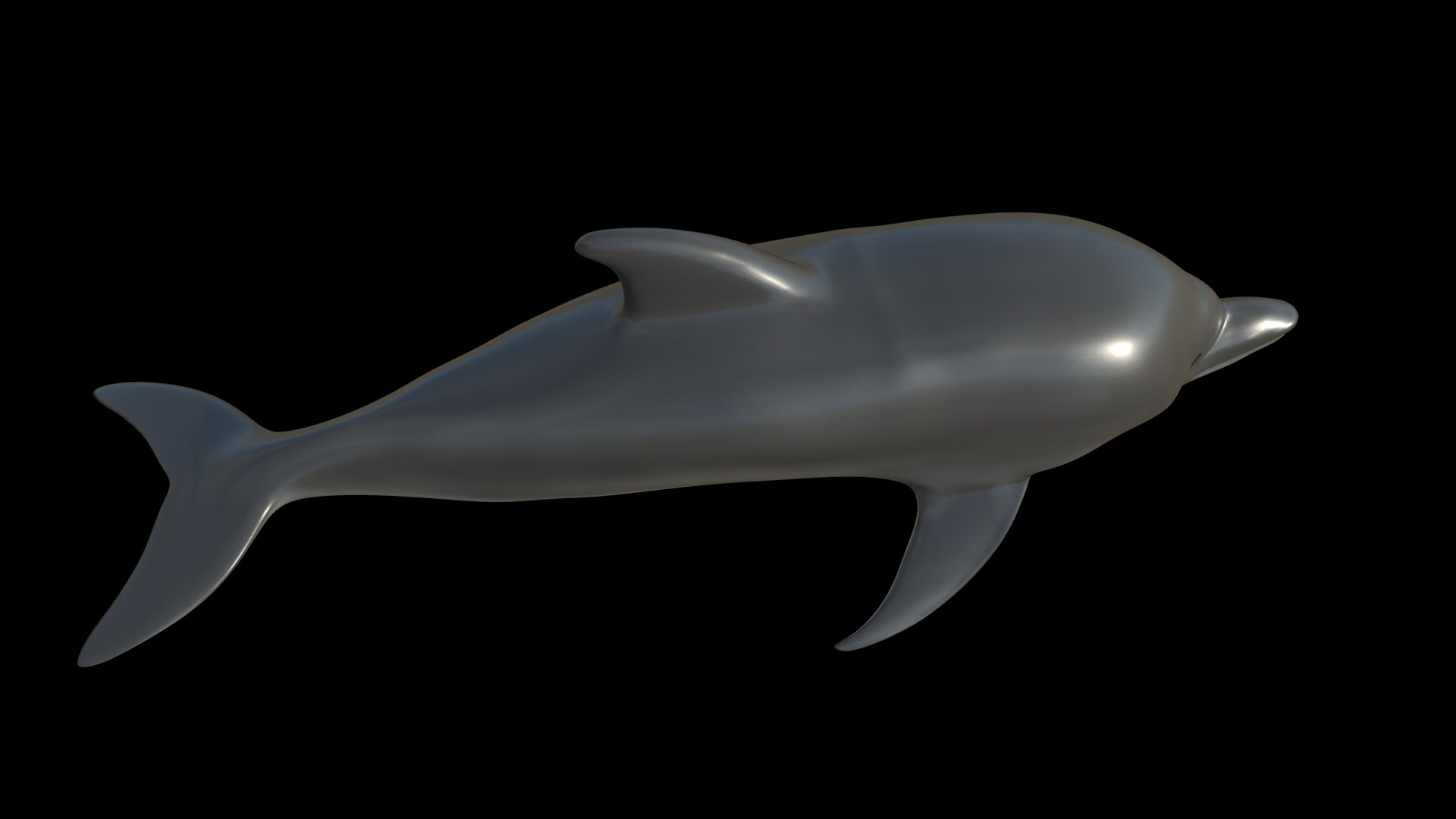 3D Rigged Dolphin - TurboSquid 1685516