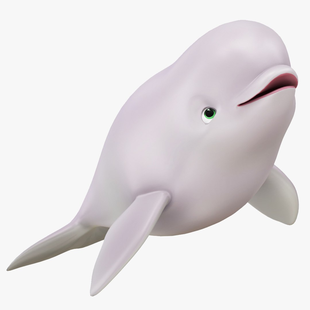 Cartoon Beluga Whale Model Turbosquid 2081987