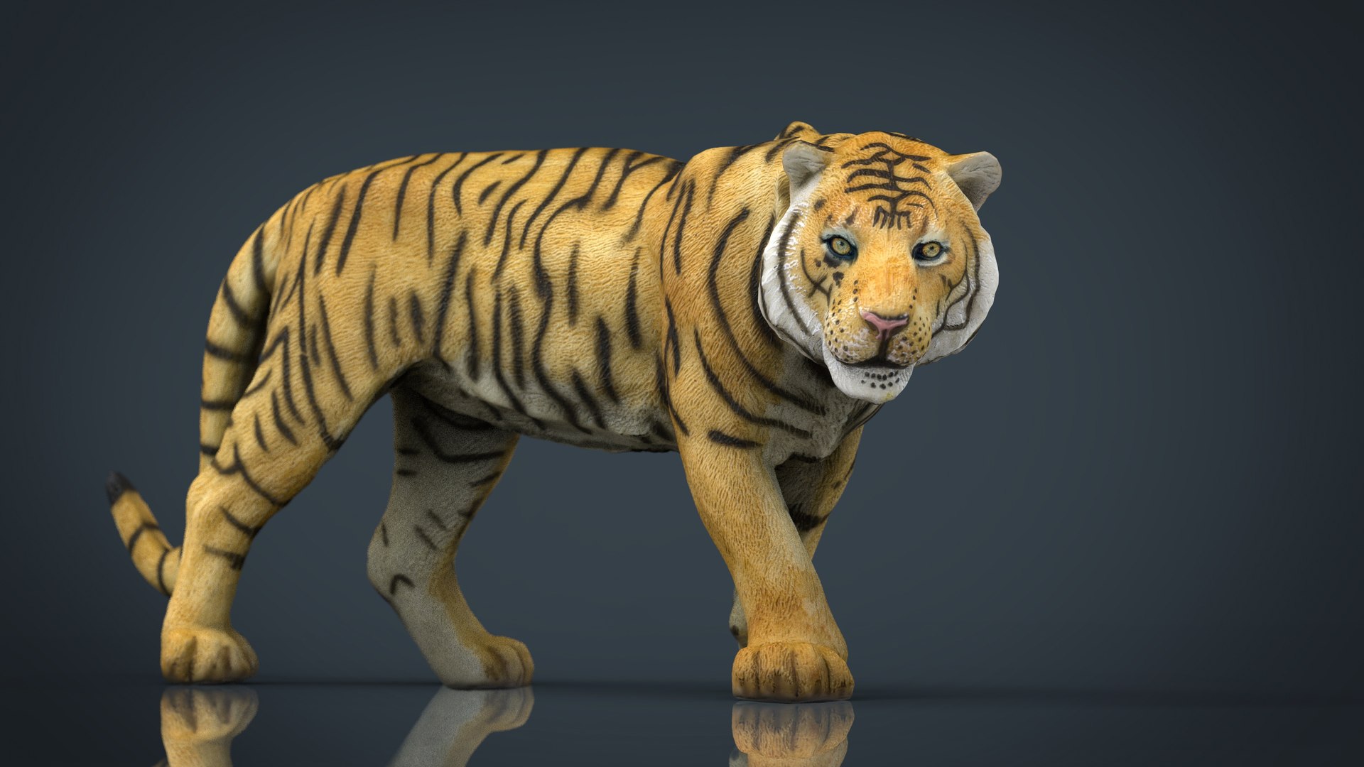3d Tiger Stl Model