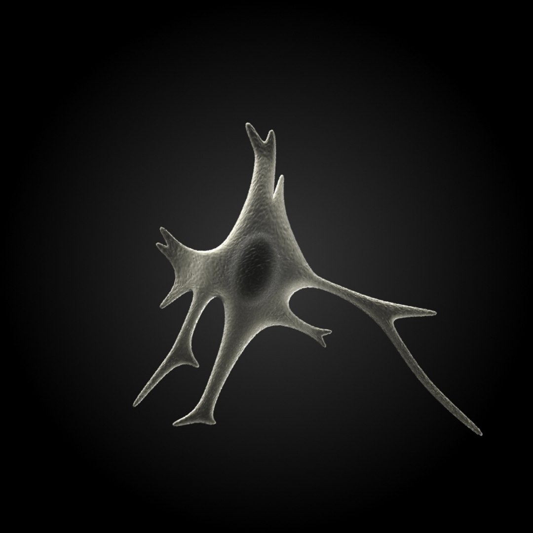 3d Model 25 Microbes Micro Sets