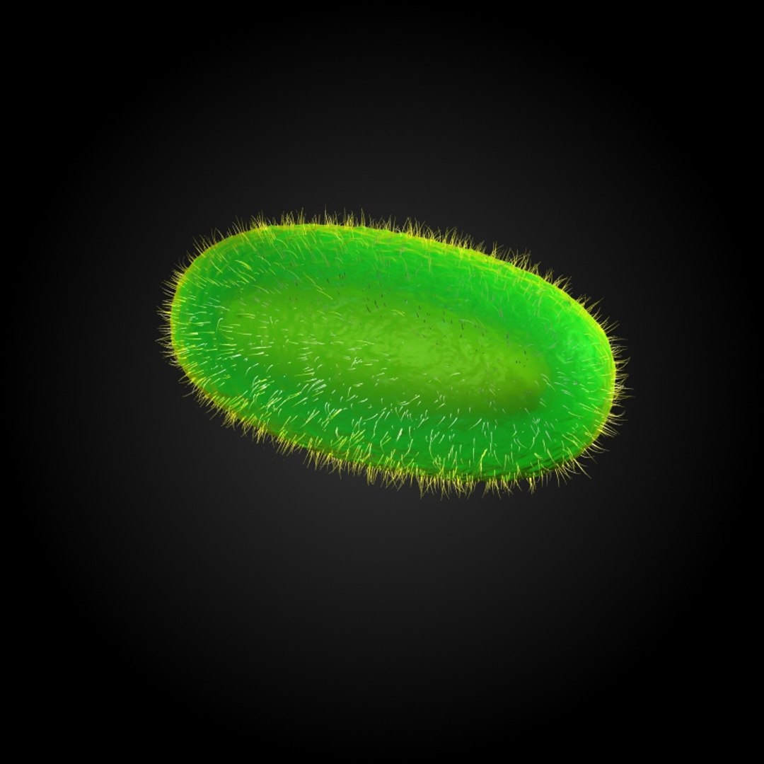 3d Model 25 Microbes Micro Sets