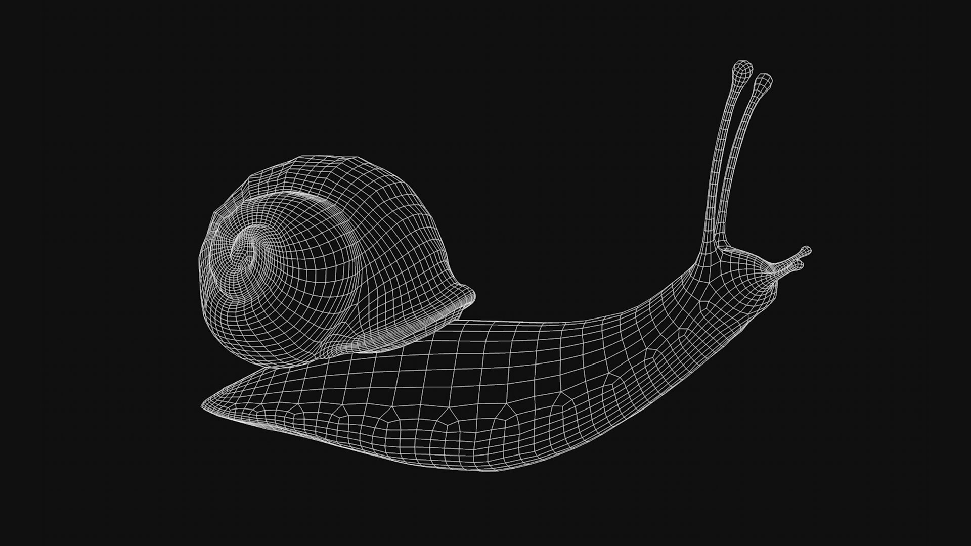 Snail 3D Model - TurboSquid 1845604