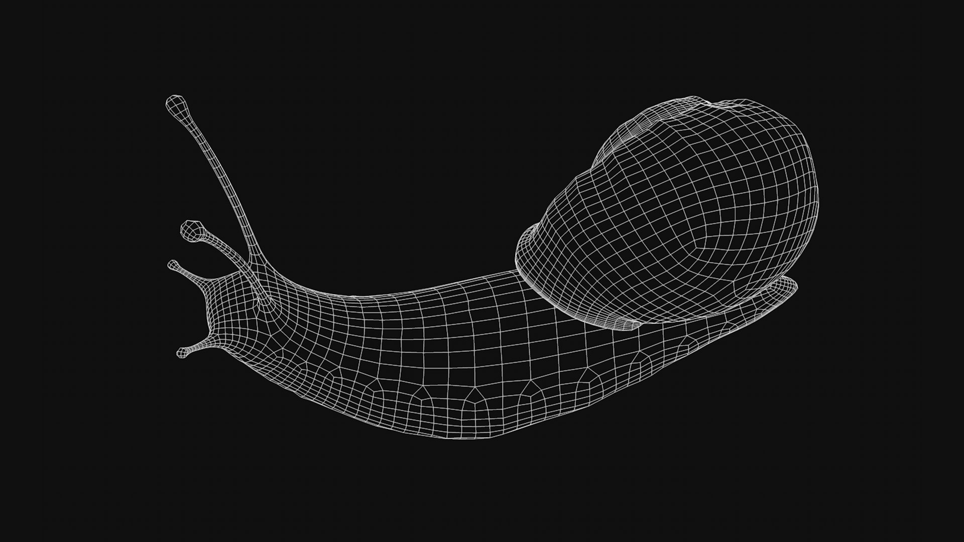 Snail 3D Model - TurboSquid 1845604