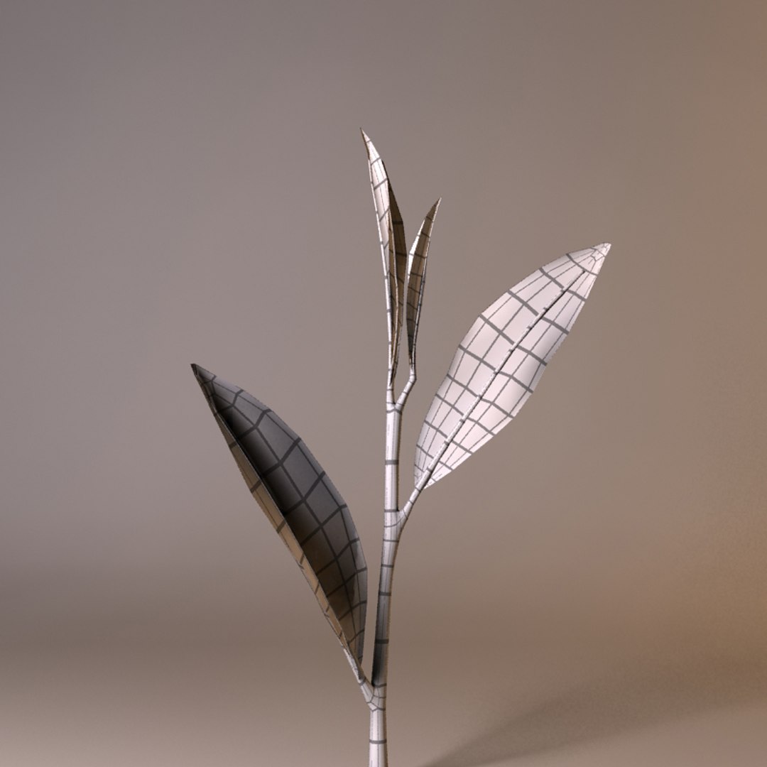 tea leaves leaf 3d model
