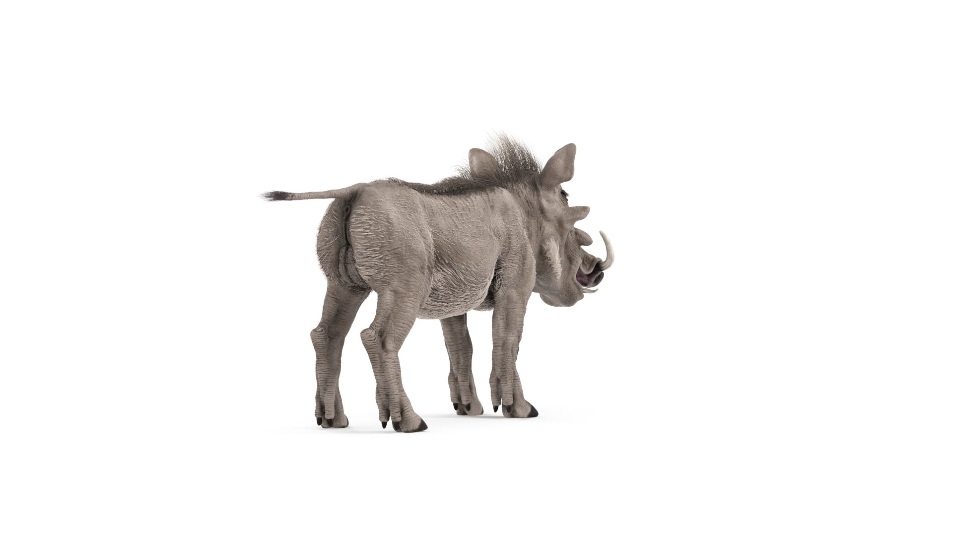Warthog Rigged And Animated 3D Model - TurboSquid 2470367