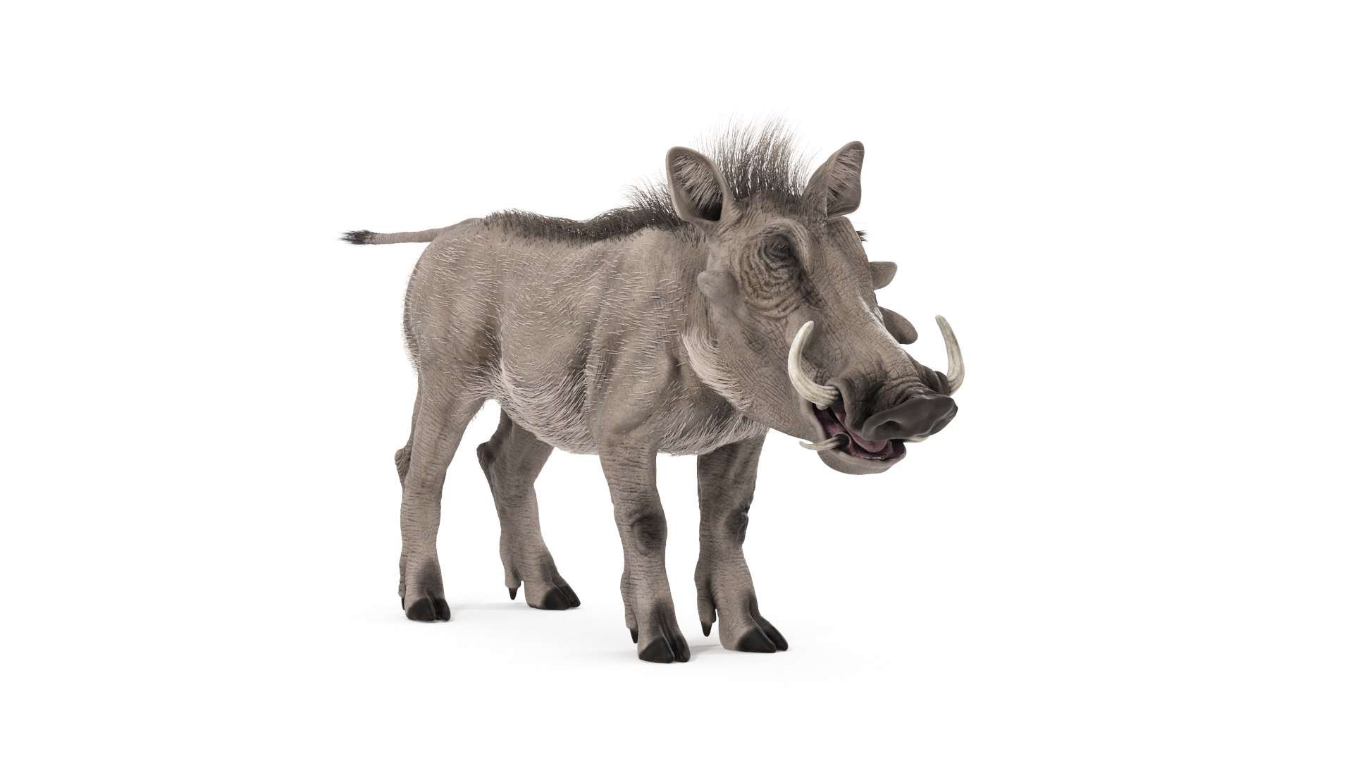 Warthog Rigged And Animated 3D Model - TurboSquid 2470367