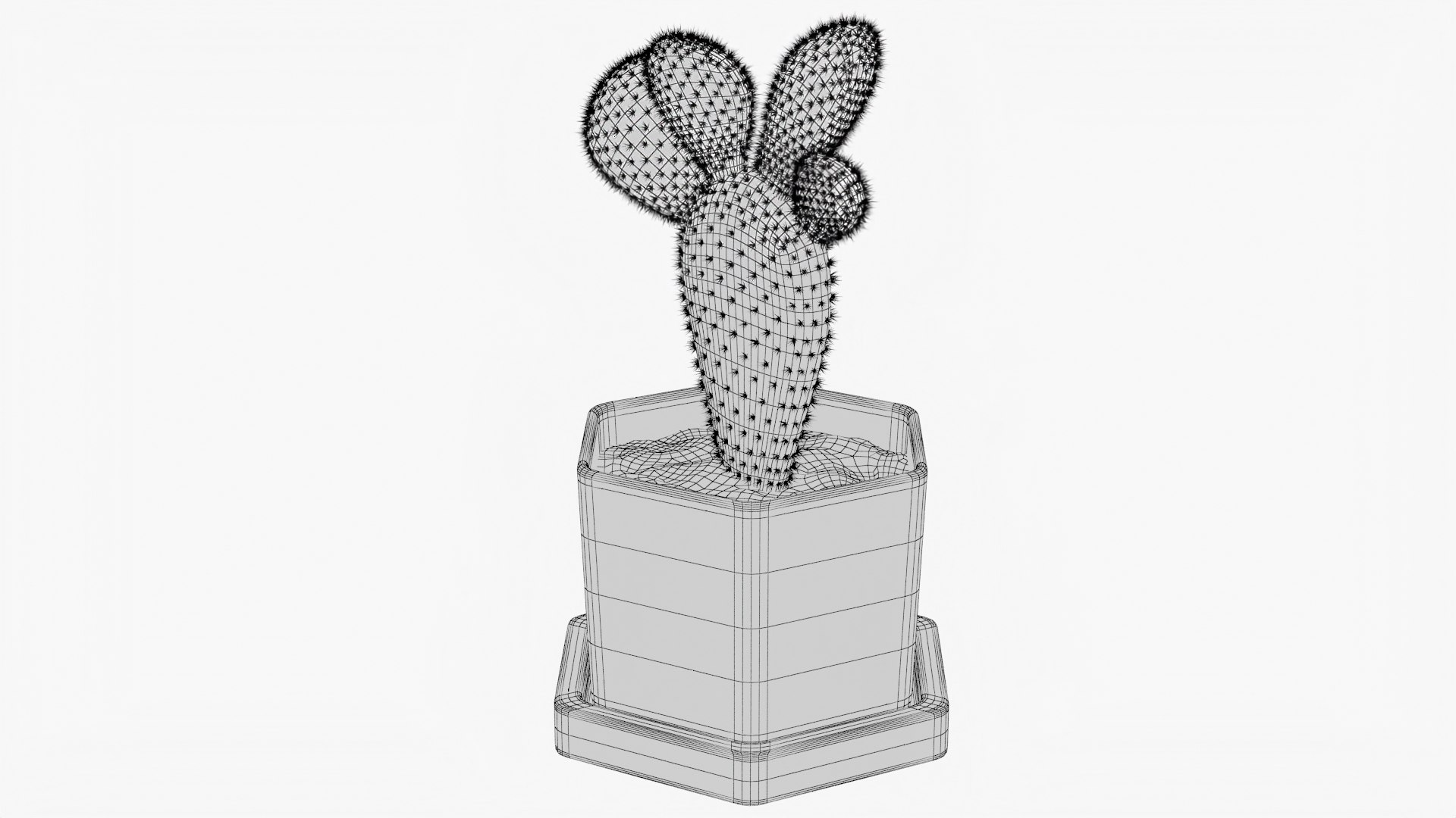 Cactus 03 E 3D Model - TurboSquid 1987432