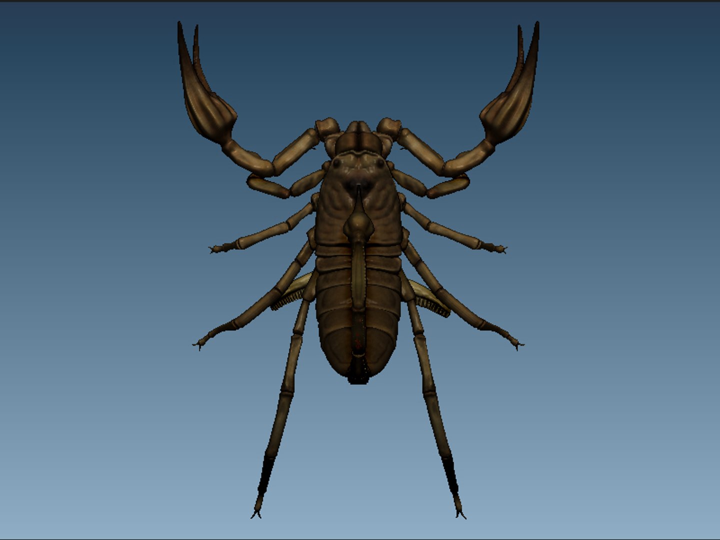 3d Model Scorpion