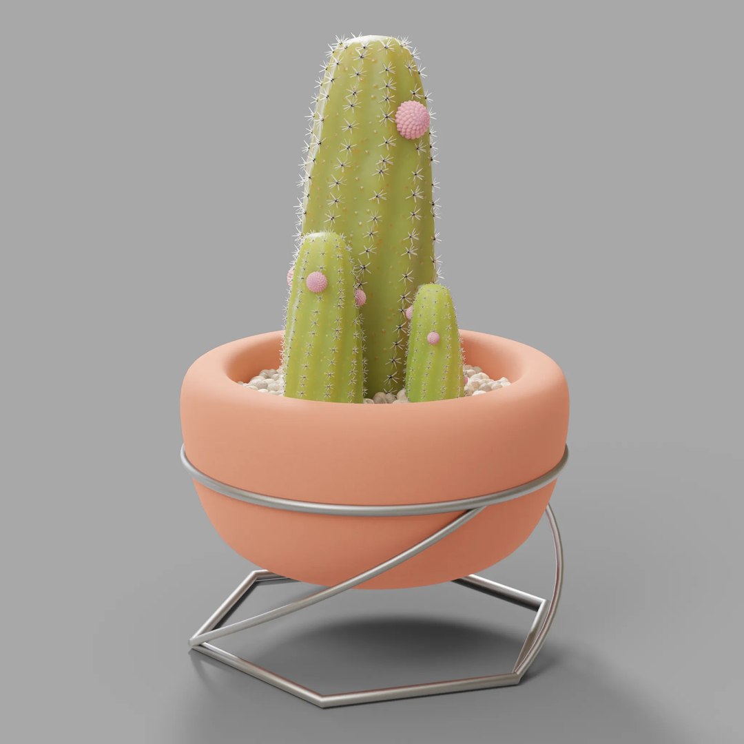 modelo 3d Cactus - TurboSquid 1969014