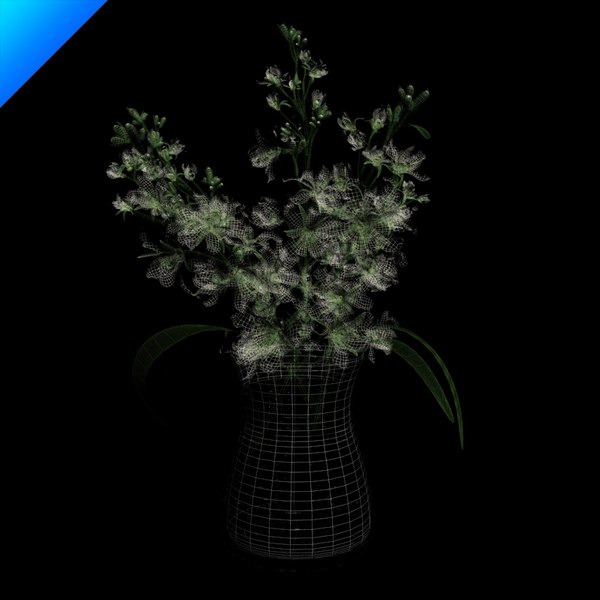 contemporary flower max