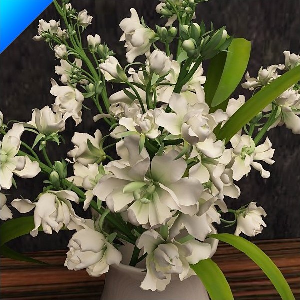 contemporary flower max