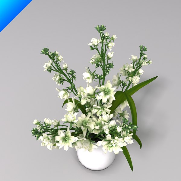 contemporary flower max